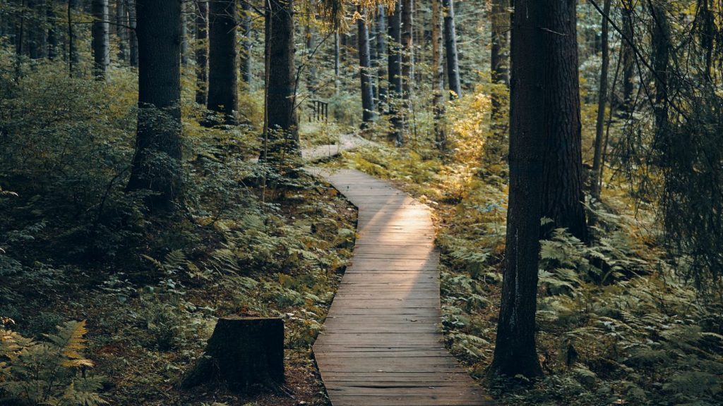 kinSHIFT – We help settlers cultivate relationships with Indigenous ...